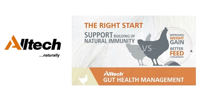 Alltech’s acquisition of Keenan creates “growth opportunities - Poultry ...