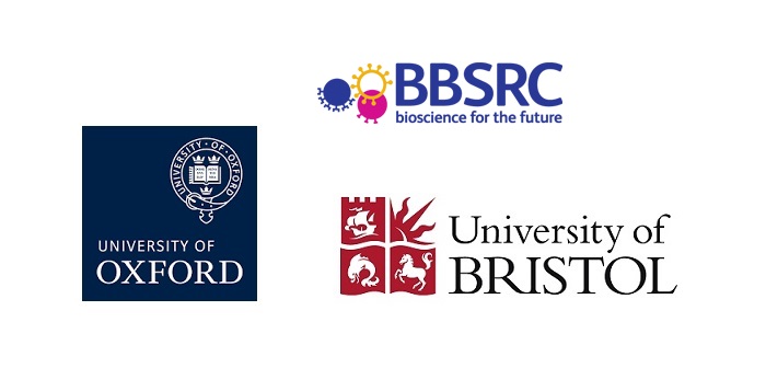 Poultry research projects secure new BBSRC funding - Poultry News