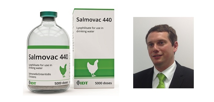 New salmonella vaccine protects after only six days says IDT - Poultry News