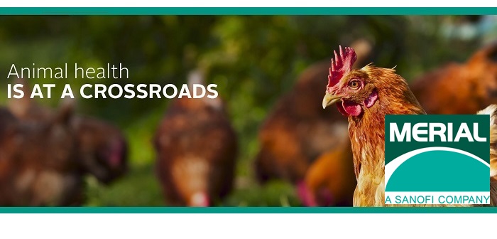 Merial event highlights opportunities and investment needs | Poultry News