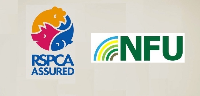 Freedom Food welfare changes set for "further consultation" - Poultry News