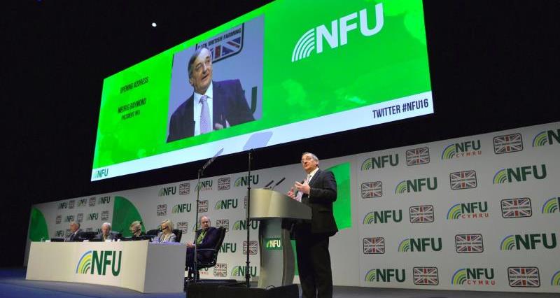Uncertainty over Brexit for farming must end, Raymond tells conference ...