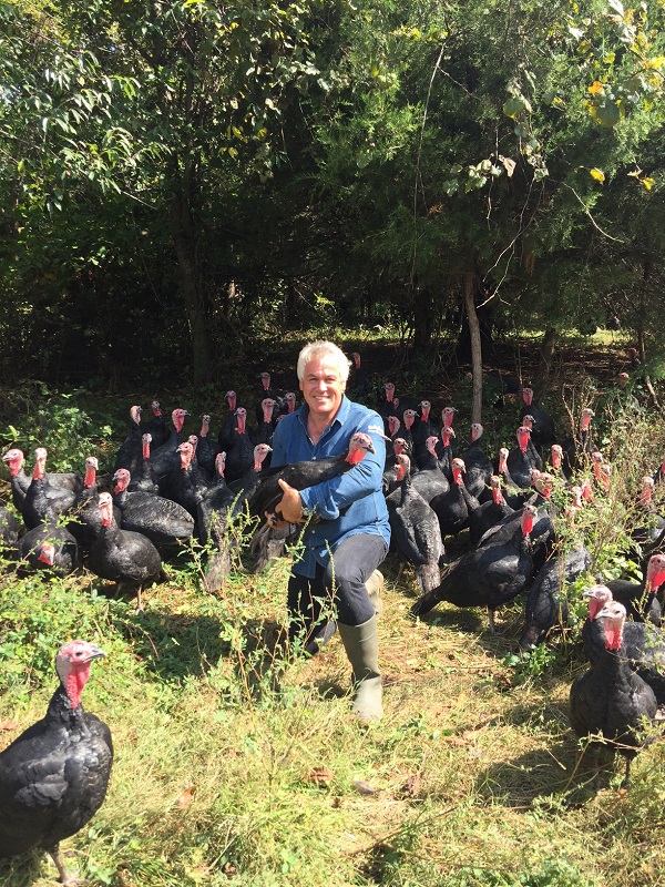 Feature: Getting ready for Christmas with Kelly Turkeys - Poultry News