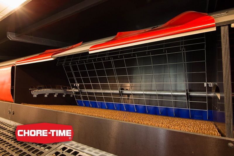 Layer nest systems launched to UK market - Poultry News