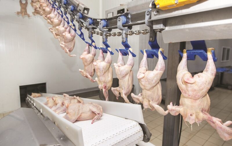 Carbon dioxide shortage poses new threat to poultry industry - Poultry News