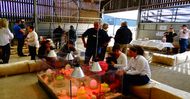 Avara Foods supports Open Farm Sunday initiative - Poultry News