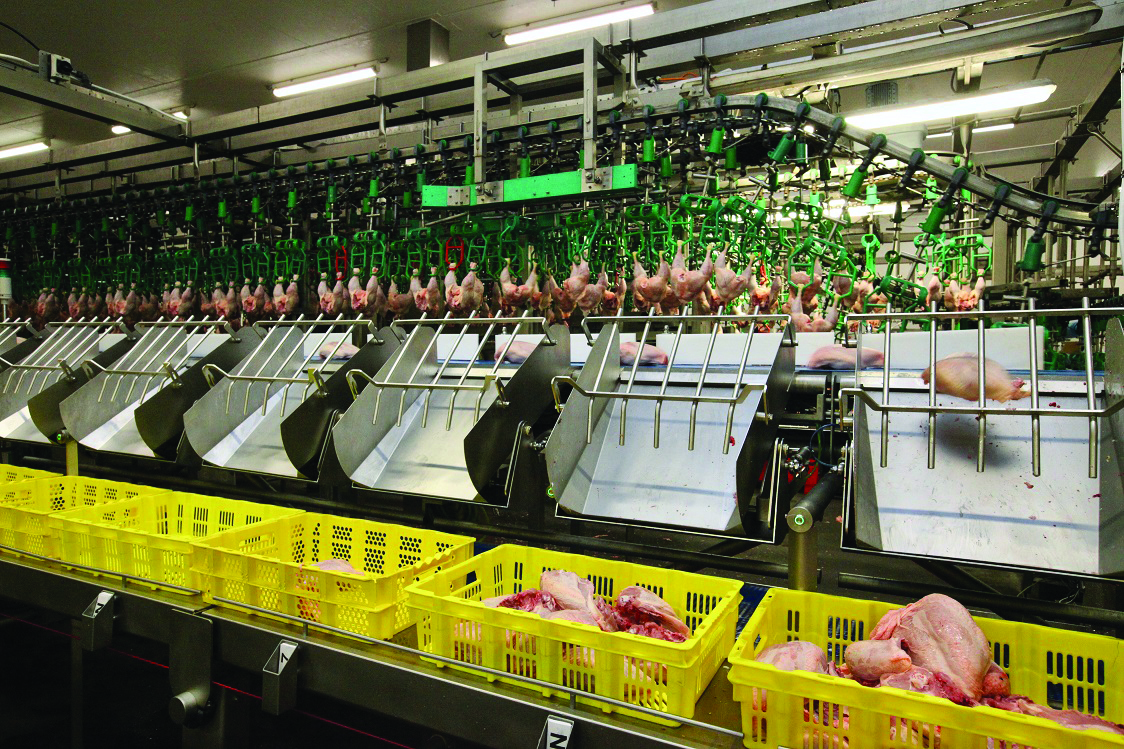 Processing equipment: a cut above the rest - Poultry News