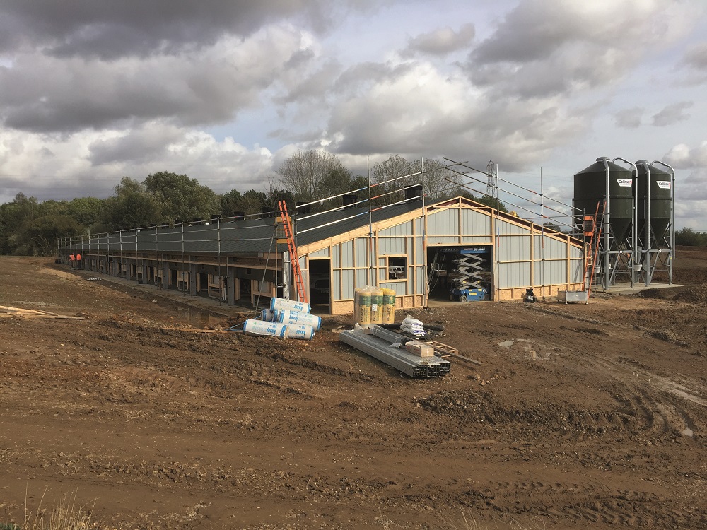 Interview: Traditional Norfolk Poultry on its new approach - Poultry News