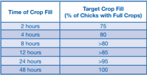 Technical advice: How to optimise feeding for a strong chick start ...