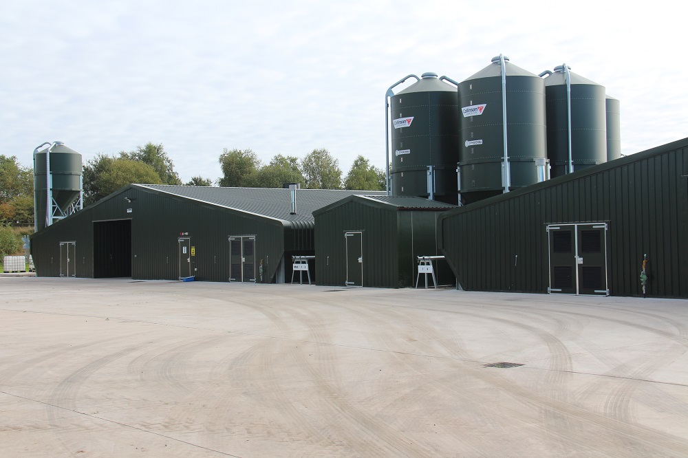 Case studies: How Powell & Co developed poultry buildings for several ...