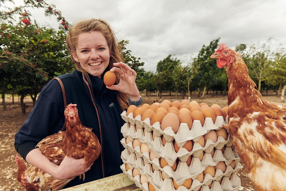 Morrisons launches new 'Chuckle Eggs' range - Poultry News