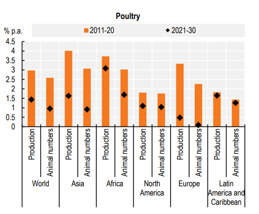 Global poultrymeat production expected to rise 13.1% by 2030 | Poultry News