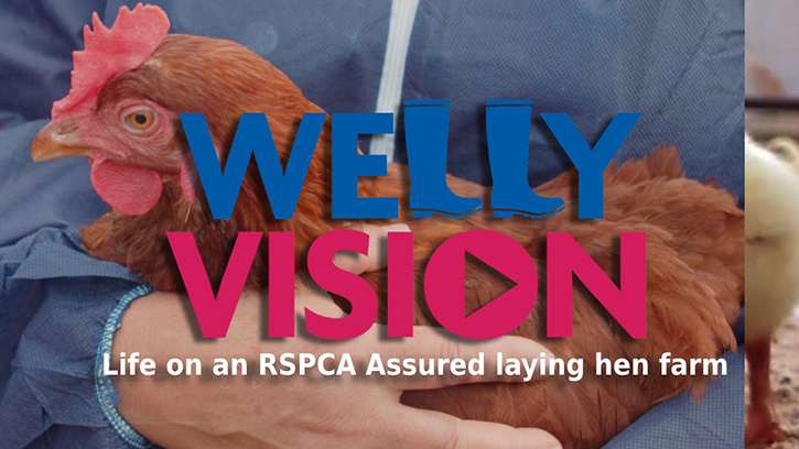 RSPCA Assured launches second episode of Welly Vision - Poultry News