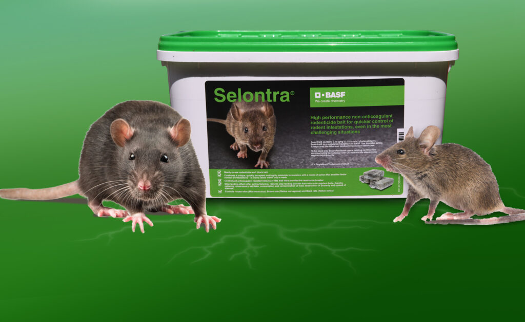 Controlling rodents on your farm - Poultry News