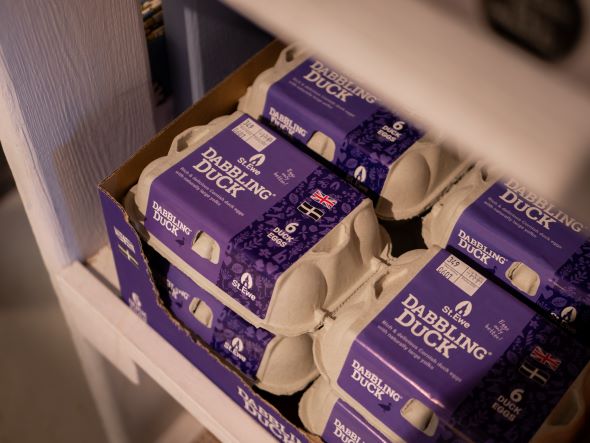 St Ewe launches new duck egg range - Poultry News