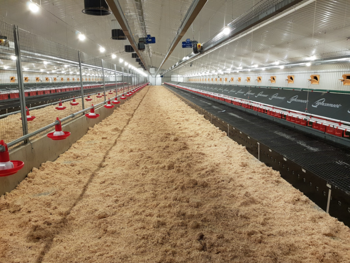 National Egg & Poultry Awards, Young Farmer of the Year 2022 ...