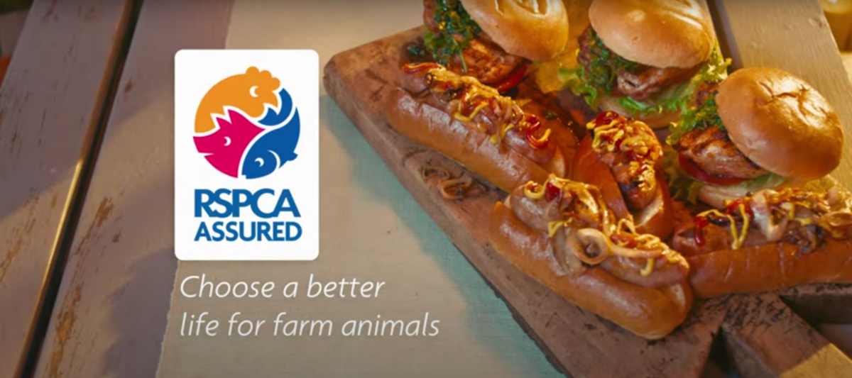 RSPCA Assured launches barbecue campaign for chicken - Poultry News