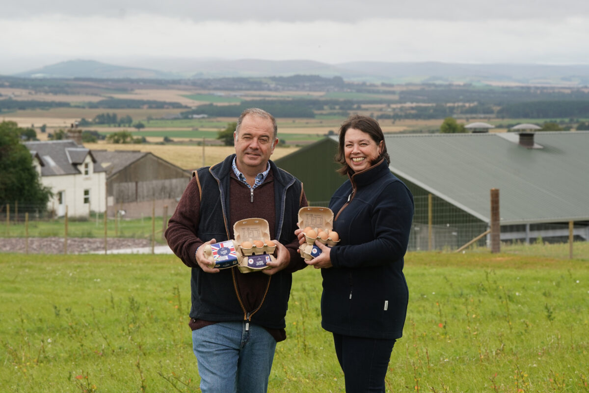 Lidl offering financial incentives for farmers to diversify into egg ...